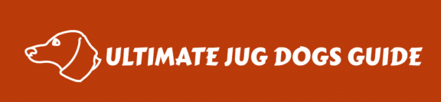 Jug Dogs - The Complete Owners Guide to Jugs